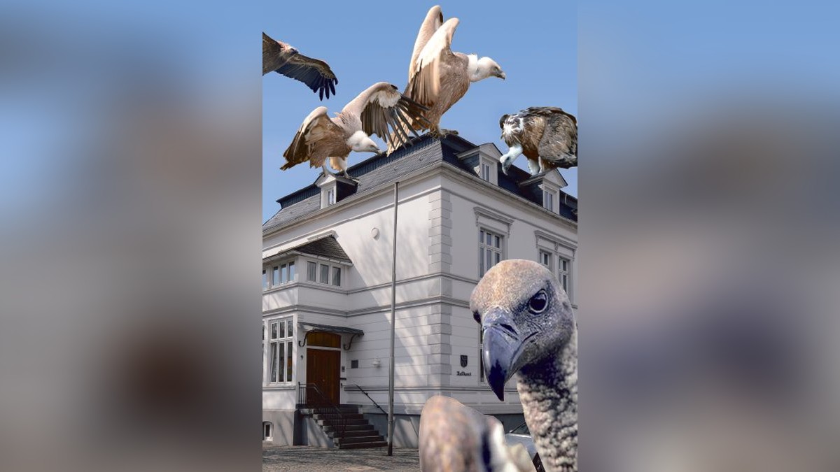 Die fetten Jahre sind vorbei: Kehren Pleitegeier zurück?