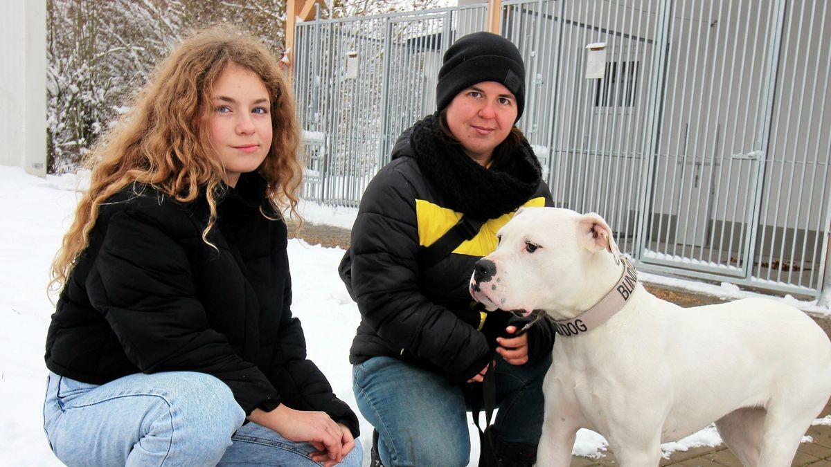 Tierheim Gotha: Futter und Geld für Vierbeiner in Not