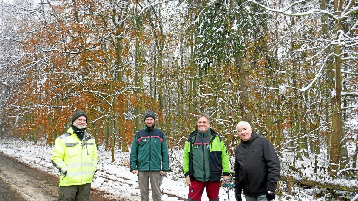 Seeberg-Wald muss ohne Fichten wachsen