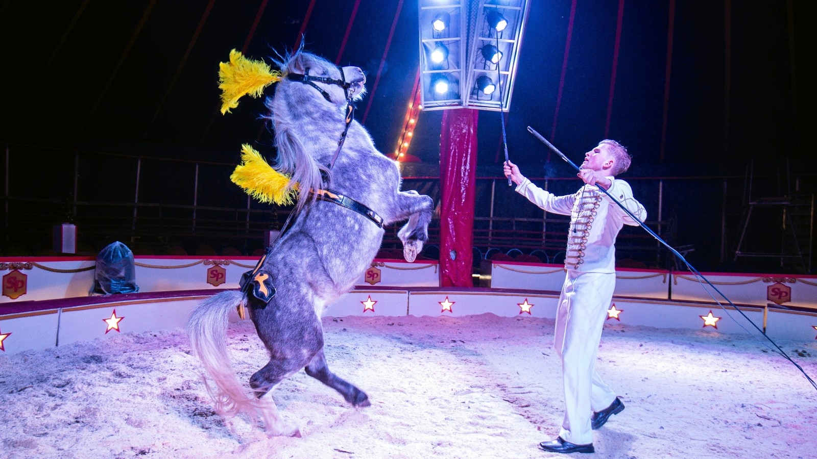 Manege frei für den „Weihnachtscircus“ in Essen-Werden