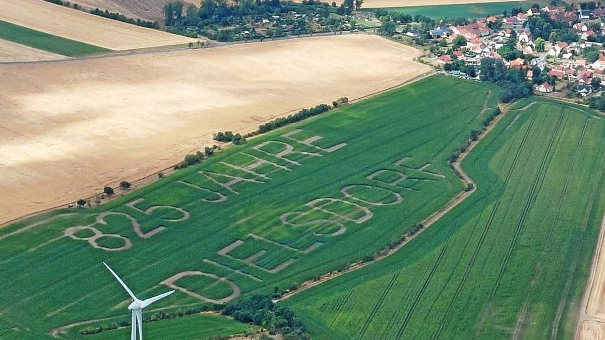 Ein Jahr voller Höhepunkte zum 825. Jubiläum in Dielsdorf
