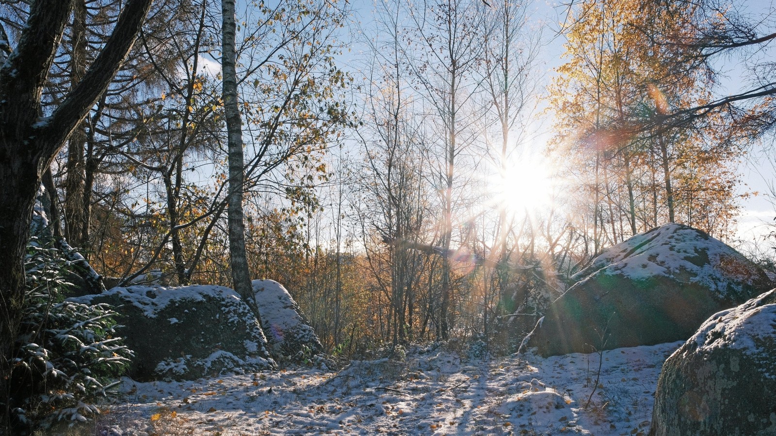 Den Harz erleben und sich selbst – ein Erlebnisbericht