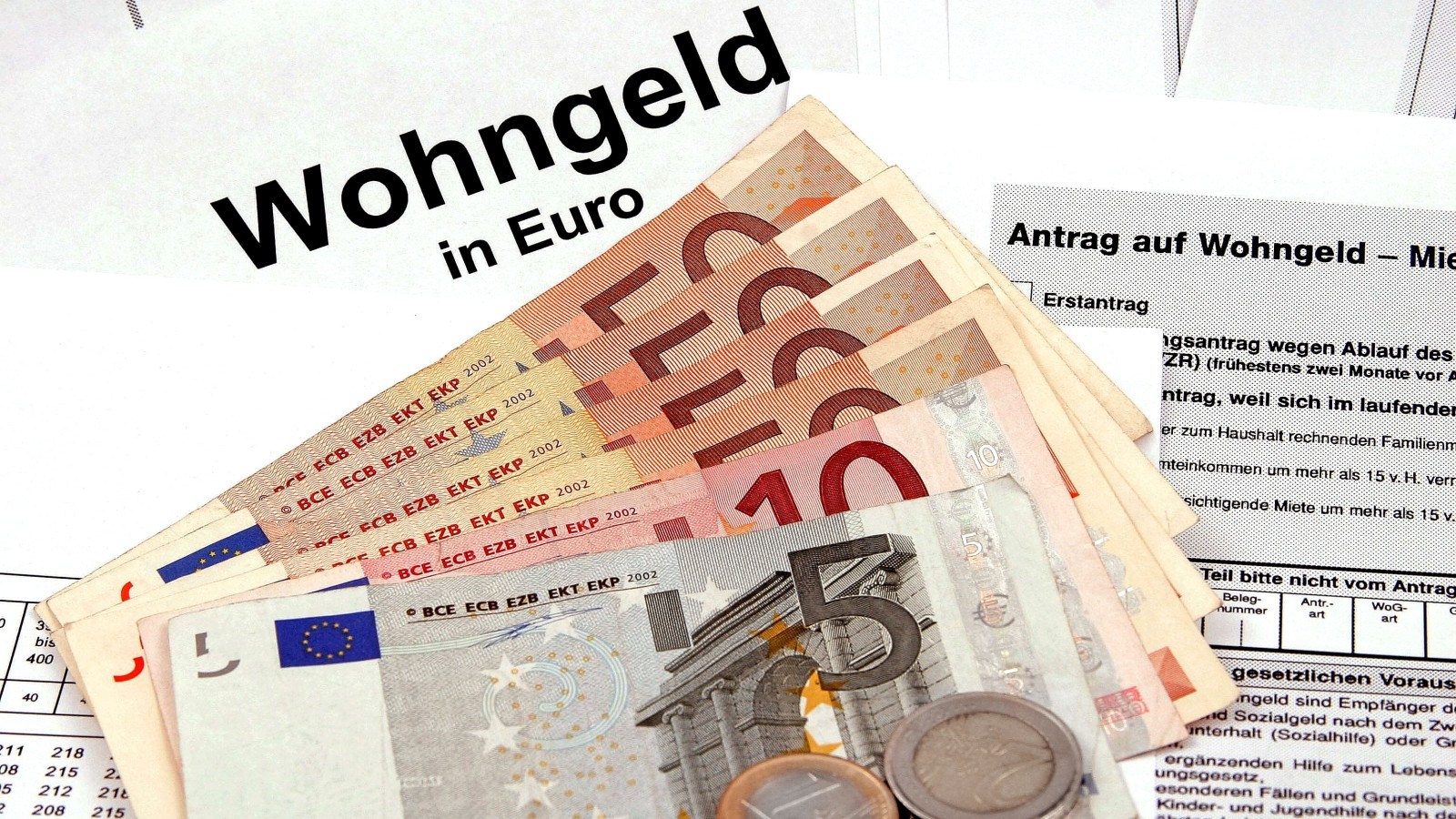 Wohngeld Hamburg: So viele Haushalte profitieren von der Reform