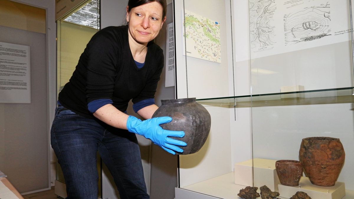 Offene Vitrinen in der Schließwoche: Putzaktion im Sondershäuser ...