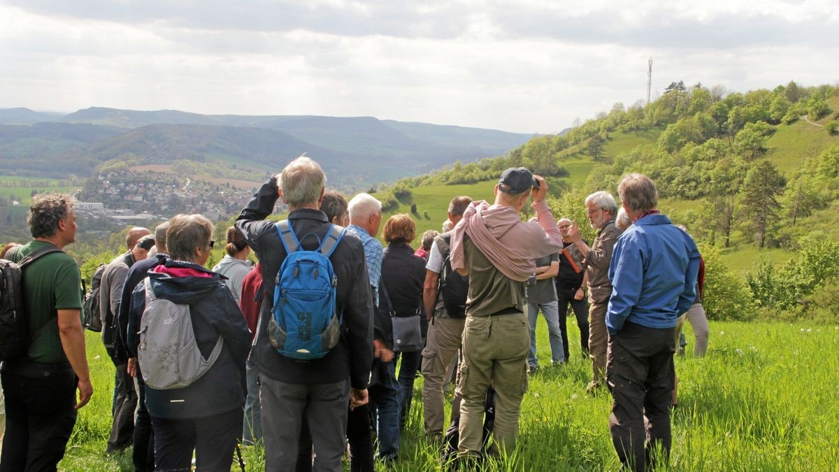 Orchideen finden um Jena und im Saale-Holzland immer weniger Lebensraum