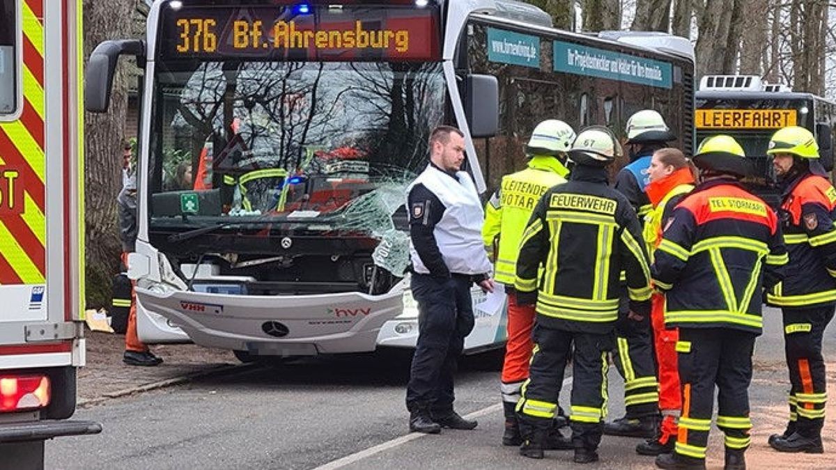 Unfall vor Hamburg: Bagger kollidiert mit Bus – 38 Kinder betroffen