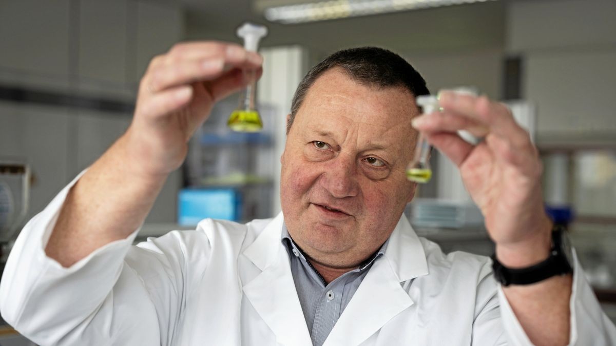 Nudeln aus Möhrenschalen? Hochschule Niederrhein forscht