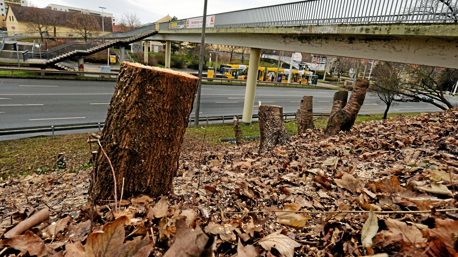 Baufreiheit für neue Brücke in Gera Lusan
