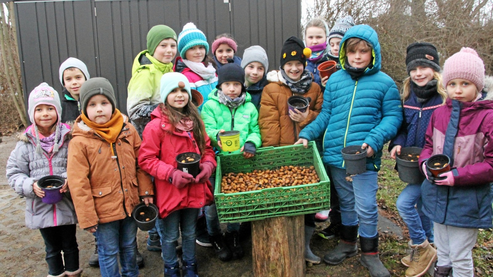 In der Grundschule Sonneborn wachsen Eichen heran