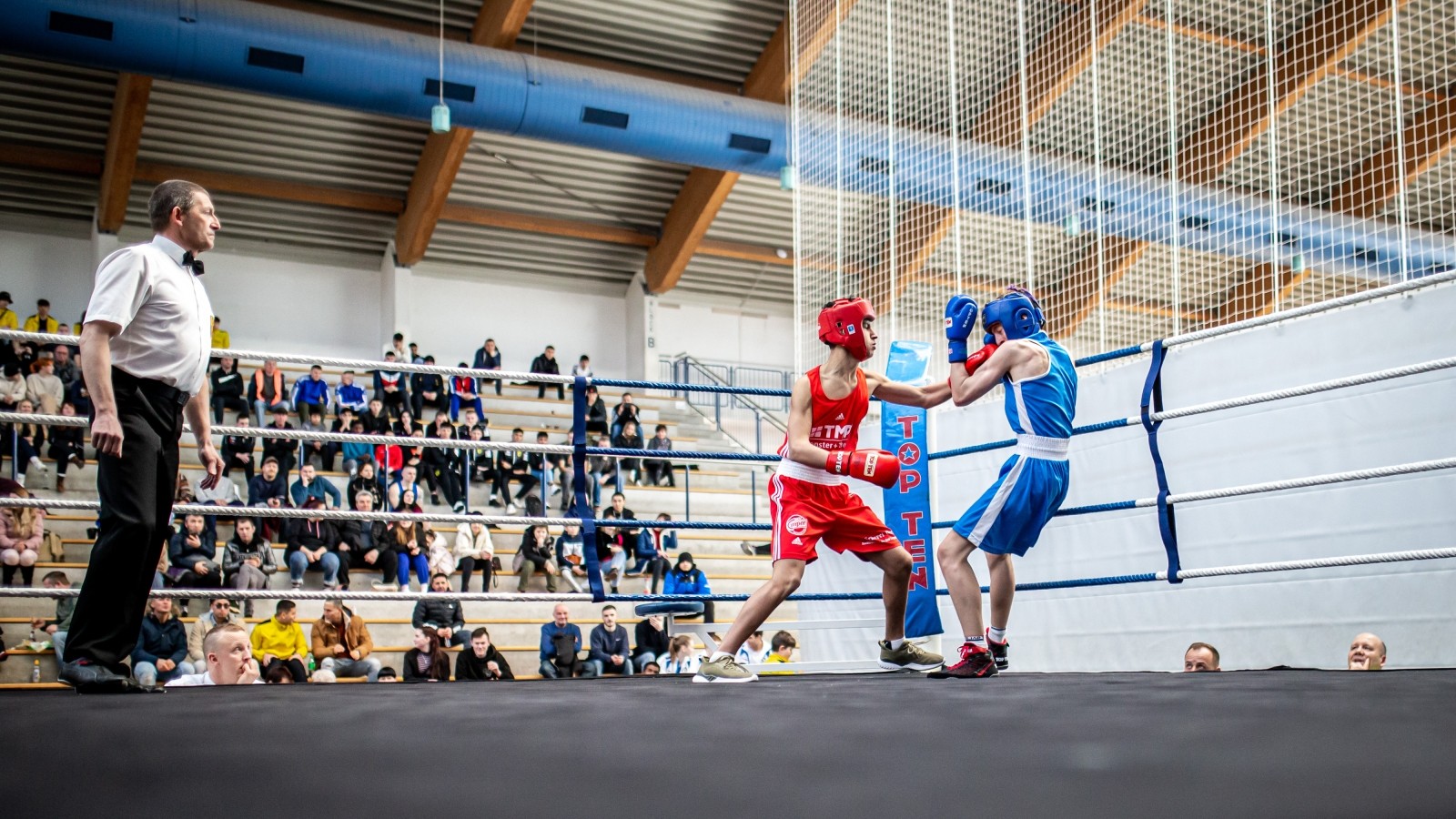 Landesmeisterschaften im Boxen - die Fotos