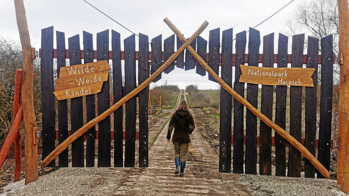 Möblierter Wanderweg über den Kindel entsteht