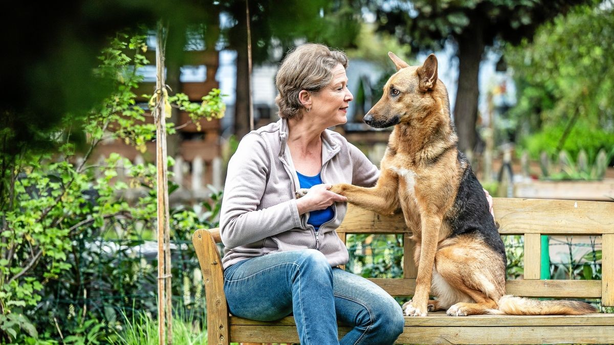 „DU Dogs“: Duisburgerin bringt Menschen die Hundesprache bei