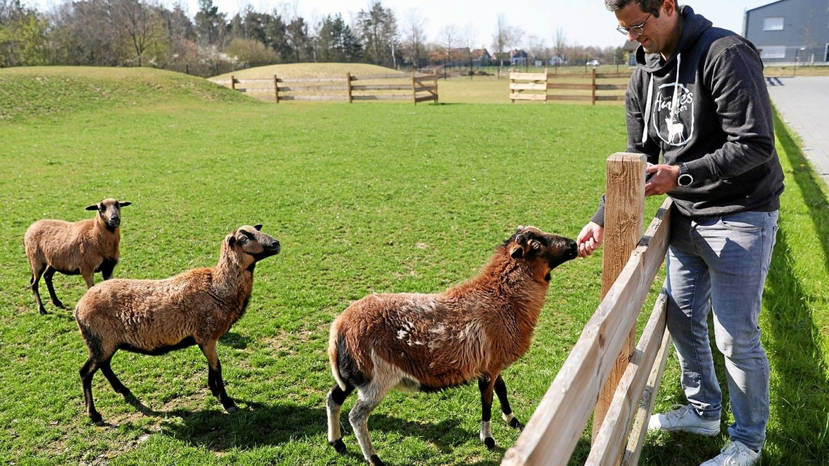 Firmensitz in Helmstedt – Das ist „Hannes Camper“
