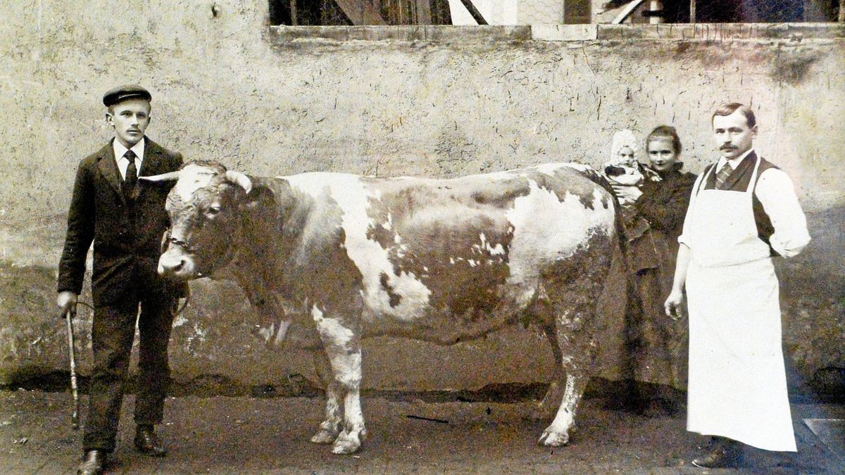 Gera: Im 125 Jahre alten Geschäft geht es um die Wurst