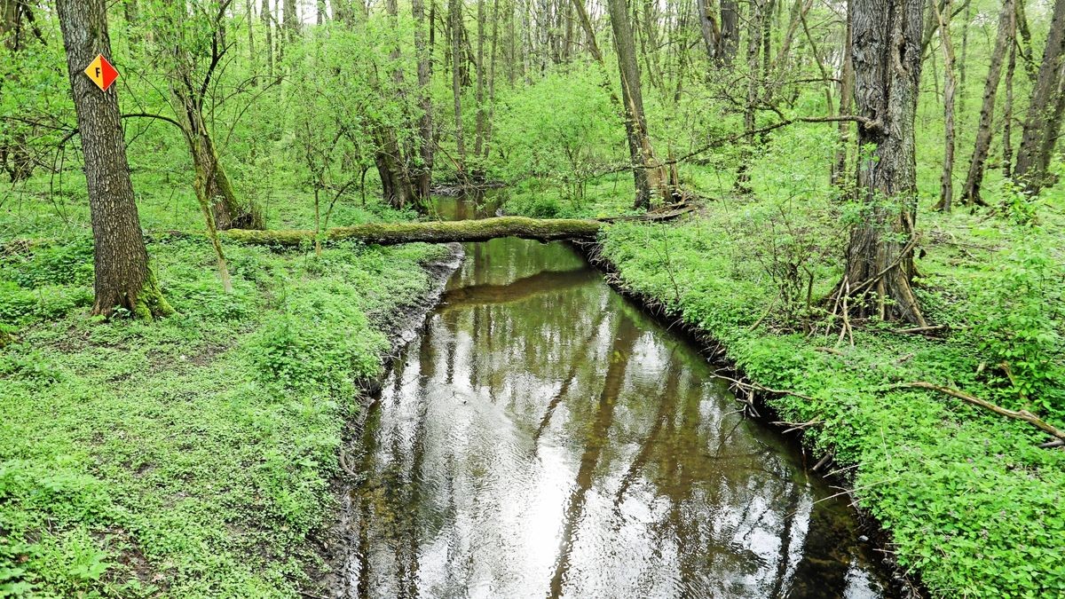 Fahrradtour durch Brandenburg: Über Dörfer und Städte zum Kloster