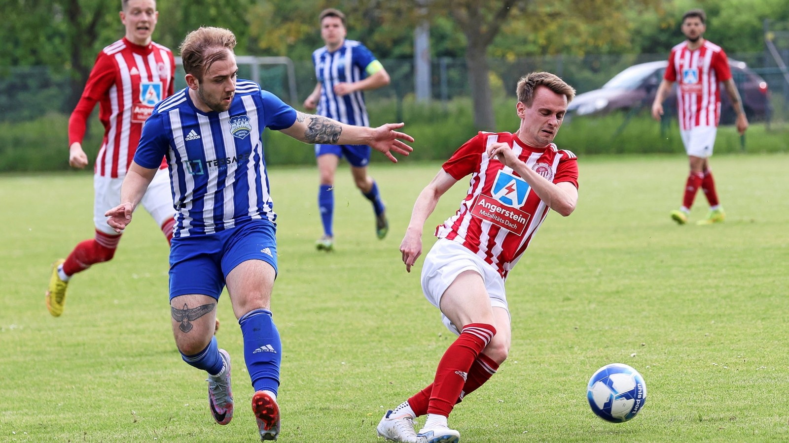 Lauingen Bornum macht in Sachen Klassenerhalt fast alles klar
