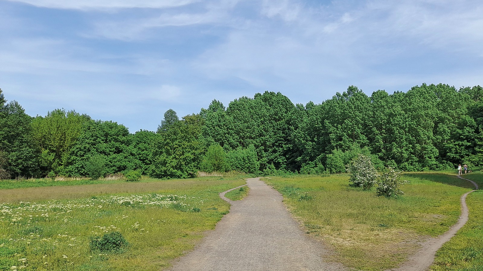 Ausflugstipp Berlin: Wiesen, Wald und Trubel in der Wuhlheide