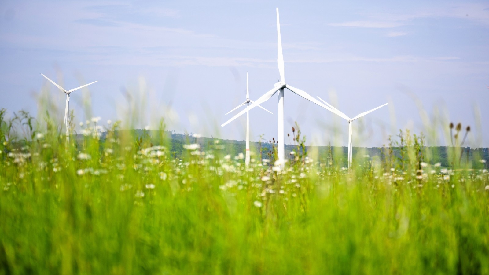 Bargteheide: Bürgerinitiative lädt wieder zum Zero Talk ein