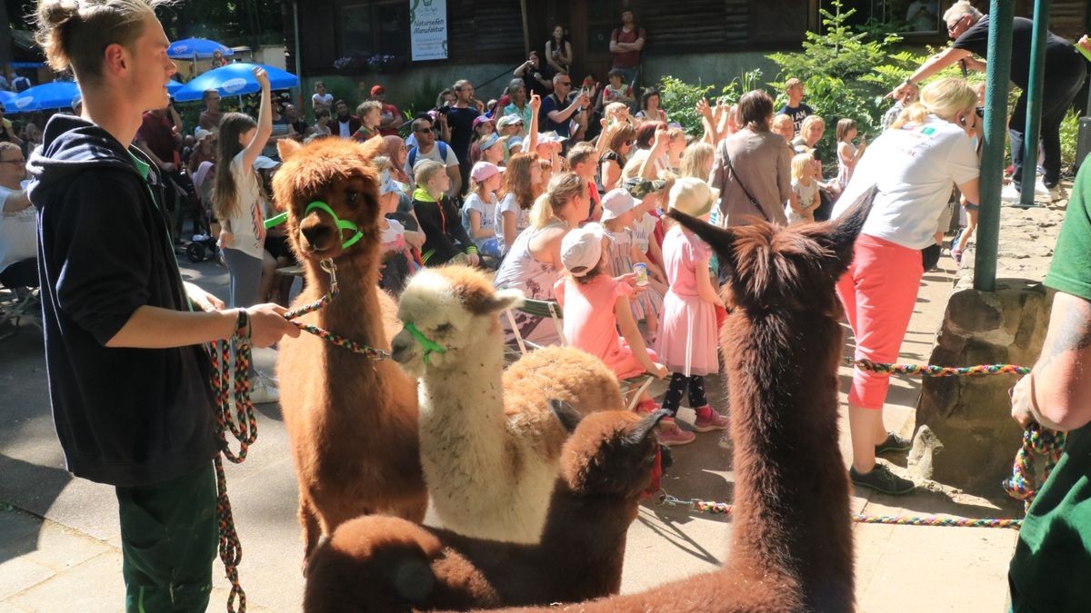 Kinderfest im Tierpark Gera – Die Bilder