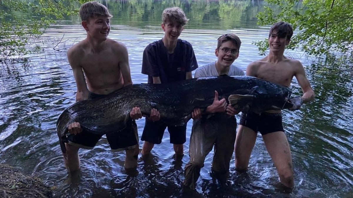 Monster-Wels: In diesen Berliner Seen lauern die Kolosse