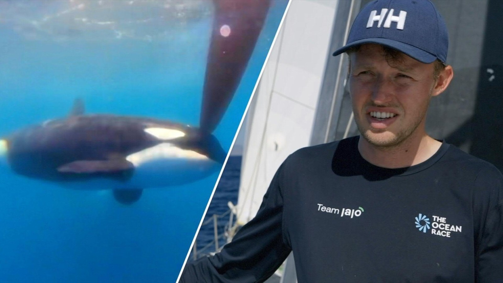 Orca-Angriffe auf zwei Boote beim Ocean Race