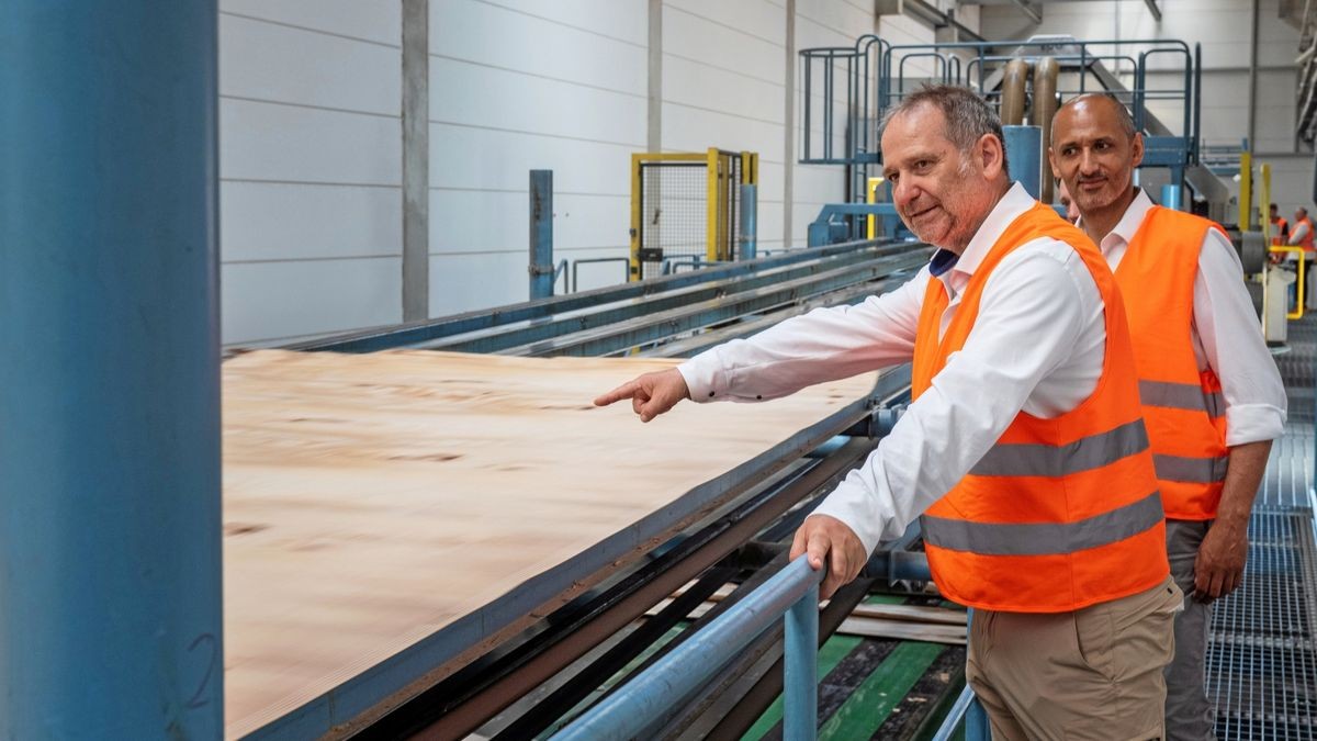 Industrie wünscht sich mehr Holz für eine nachhaltige Nutzung