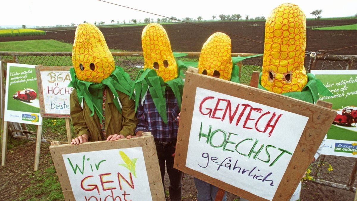 Gentechnik-Regeln: Sinnvoll oder gefährlich?