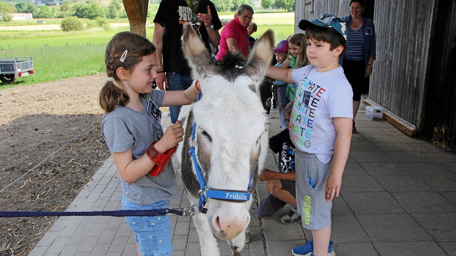 Ferientipp für Kinder: In Brilon gibt es eine Eselsschule