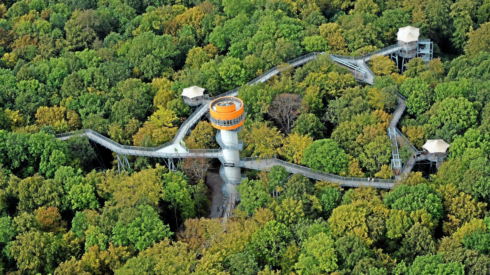 Ausflugstipp in Thüringen: Baumkronenpfad im Nationalpark Hainich
