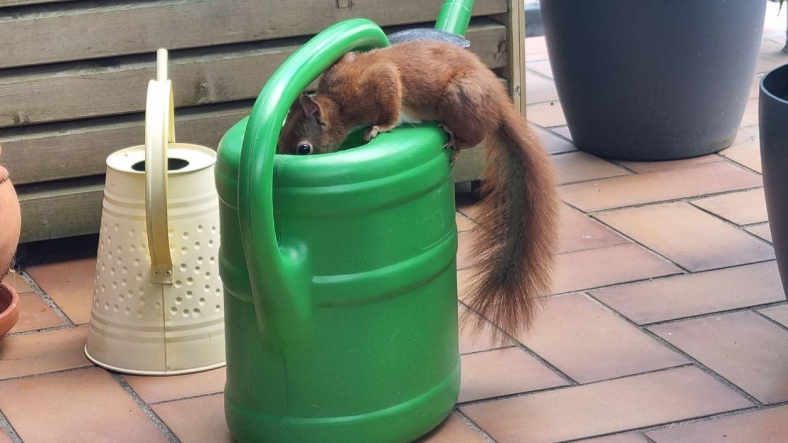 Leserfotos vom 16.07. - 18.07.2023