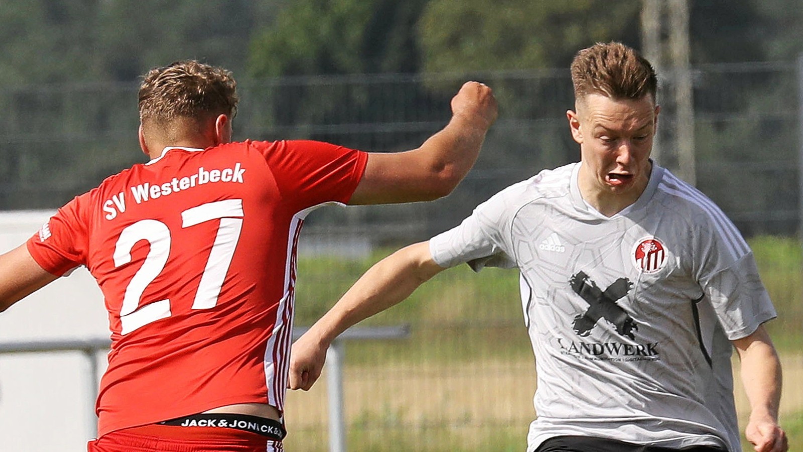 Ein souveräner Auftritt der SV Lauingen Bornum