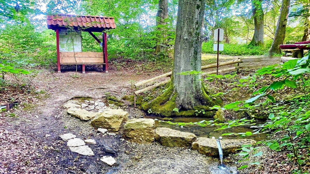 Eine Quelle im nördlichen Eichsfeld verliert ihren Namen und bekommt ...