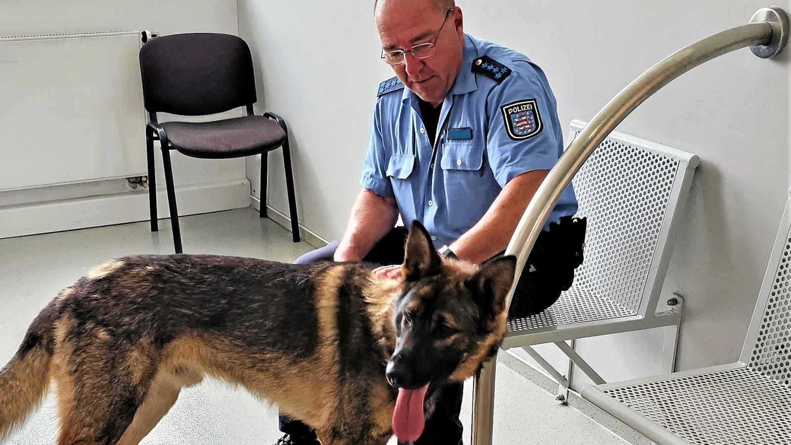 „Kommissar Rex“ besucht die Inspektion: Herrenloser Hund läuft Polizei ...