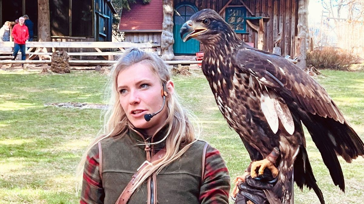 Konzerte, Feste und ein Schleppertreffen im Wartburgkreis