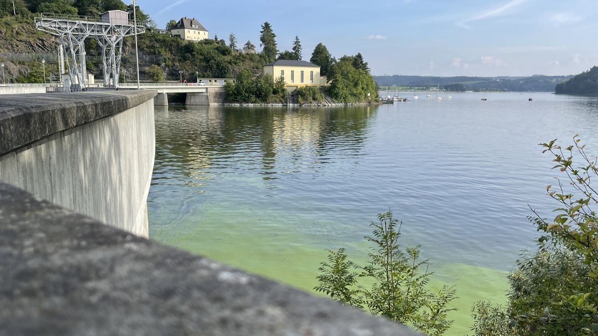 Blaualgen: Amt rät vom Baden an drei offiziellen Badestellen im ...