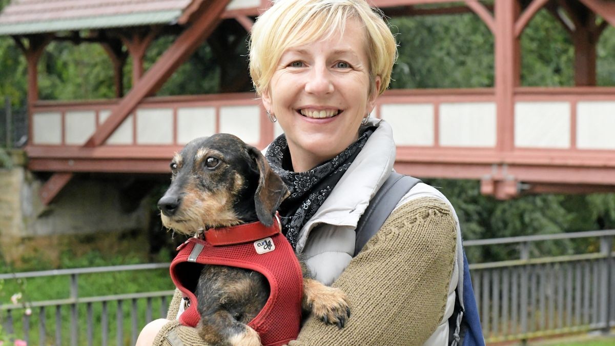 Das Kandidaten-Duell um das Rathaus von Nottertal-Heilinger Höhen