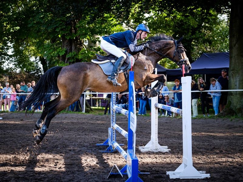 Tom Luca Schulz triumphiert im Heimspiel