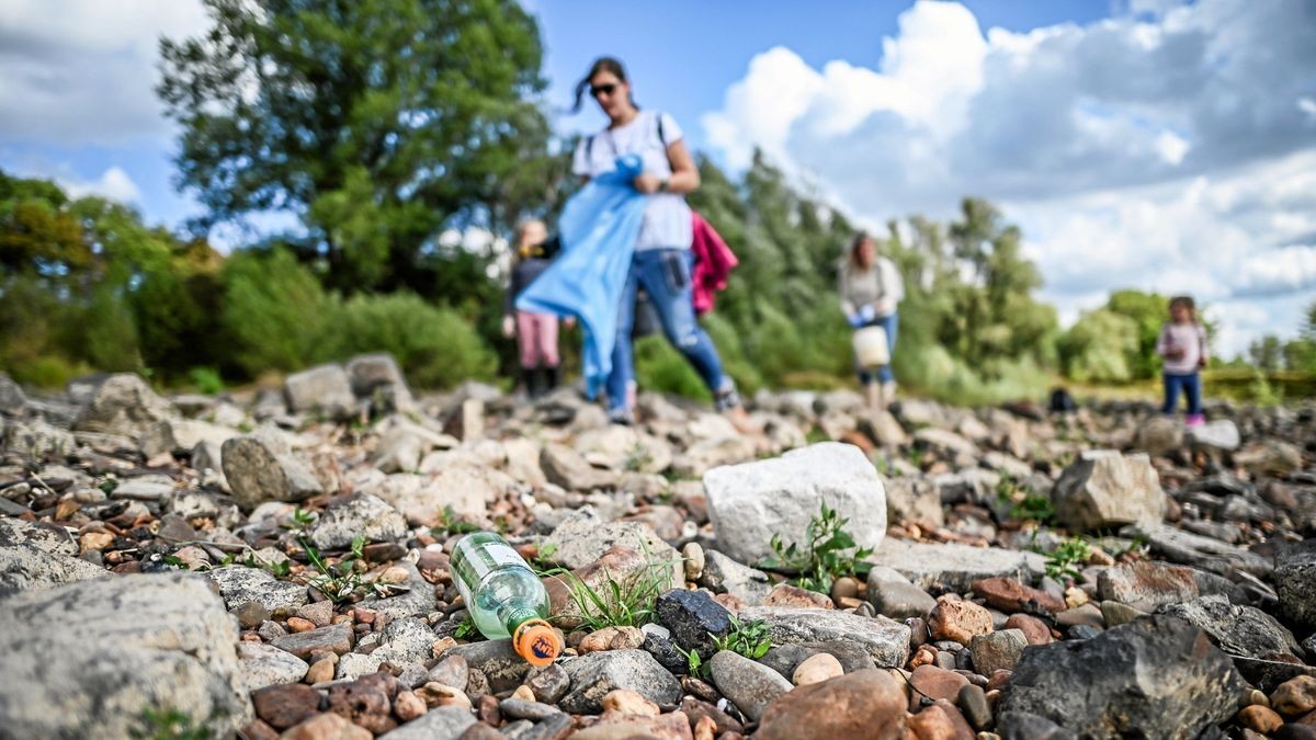 Rhine-Clean-Up: Hier wird im Kreis Wesel der Müll gesammelt