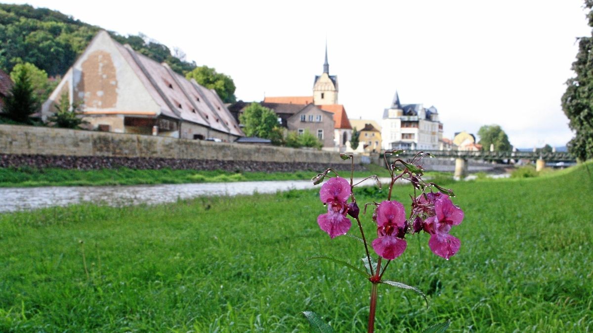 Drei Jahre trug der Fluss durch Gera einen Titel: Abschied von der ...