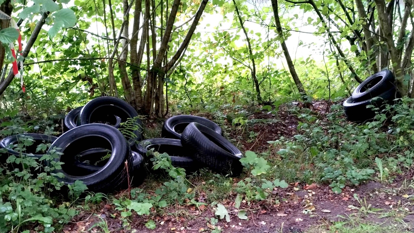 Polizei Geesthacht: Ein Dutzend Autoreifen mitten in der Natur