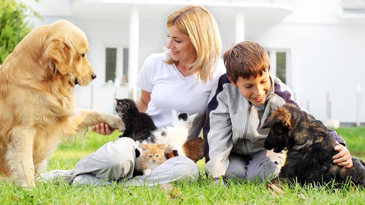 Tierischer Zuwachs verändert das Leben - ein Tierleben lang