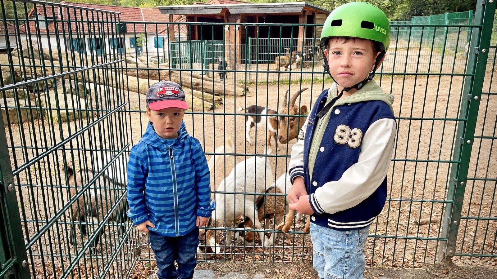 Streichelzoo im Gysenberg noch zu: Viele Familien enttäuscht