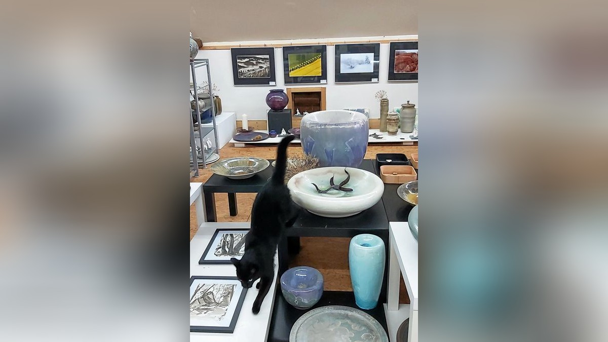 Kürbisse werden in Obergeißendorf geschlachtet