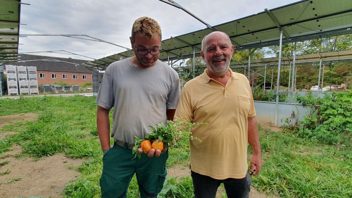 Kommen bald die ersten Kiwis aus Osterodes Kaserne?