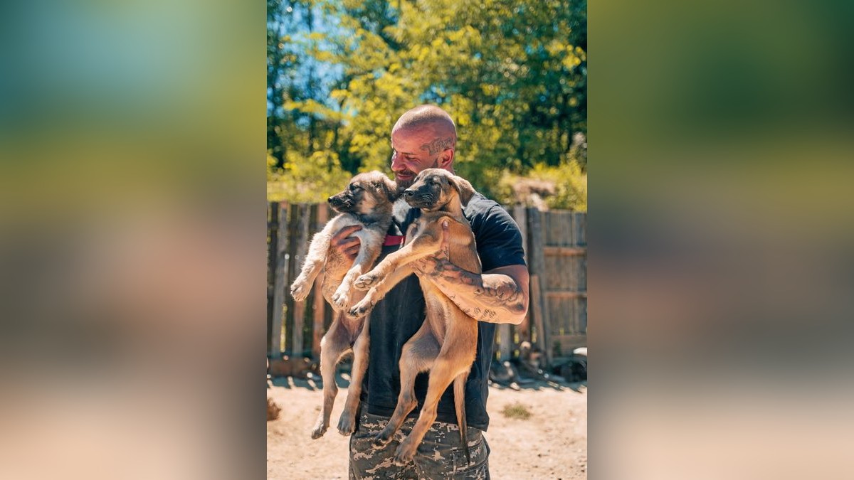 Wie Tattoos aus Oberhausen Hunden in Bosnien helfen