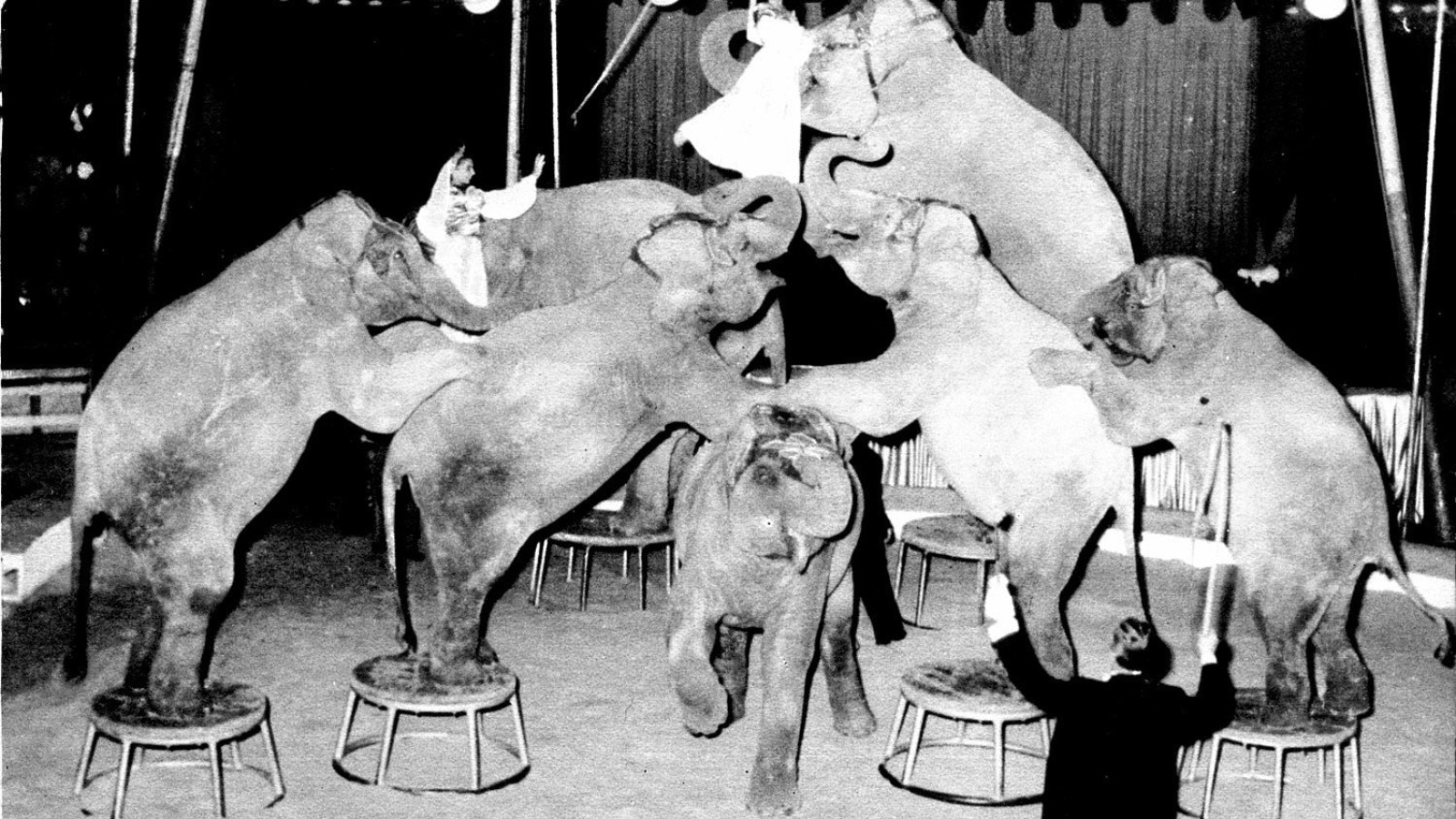 Geboren in Sonsbeck: Manege frei für Adolf Althoff