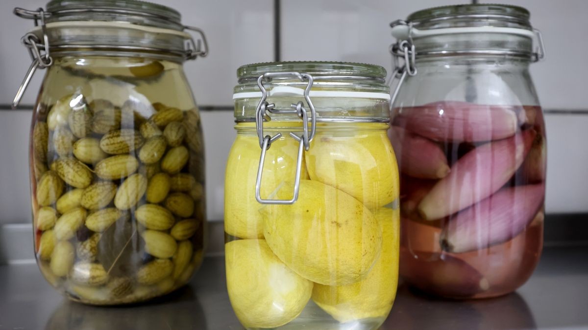 Teko bringt Neues Geschmackliches in die Gastroszene