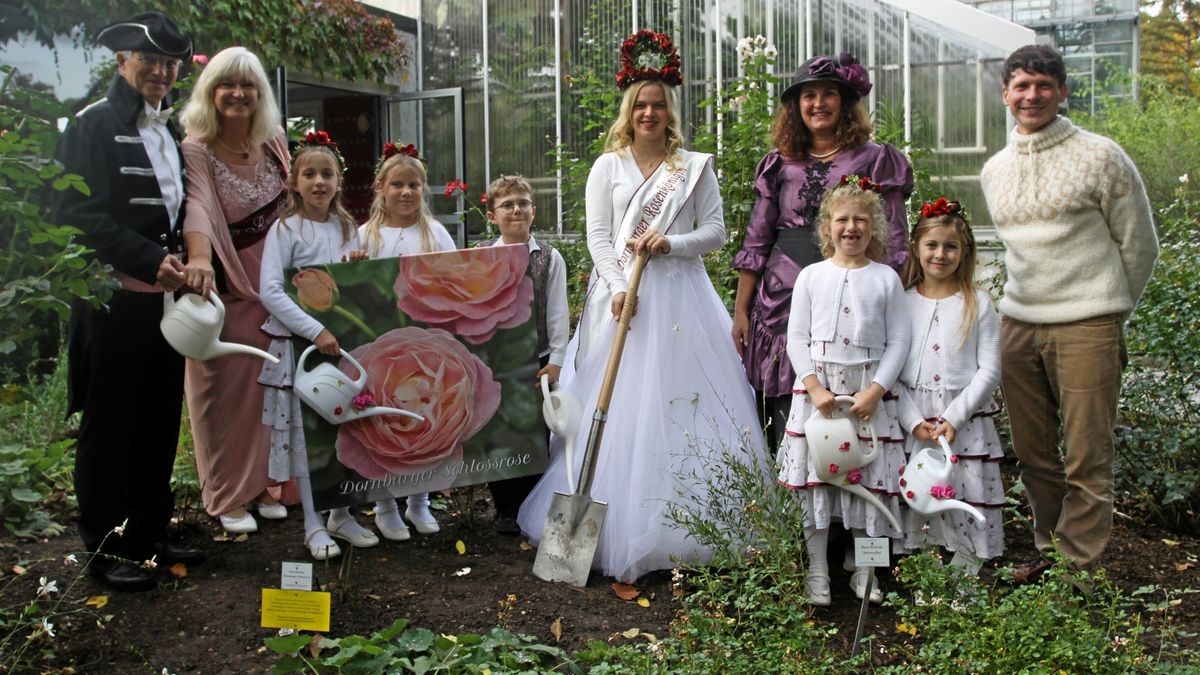 Dornburger Schlossrose wächst jetzt im Botanischen Garten von Jena
