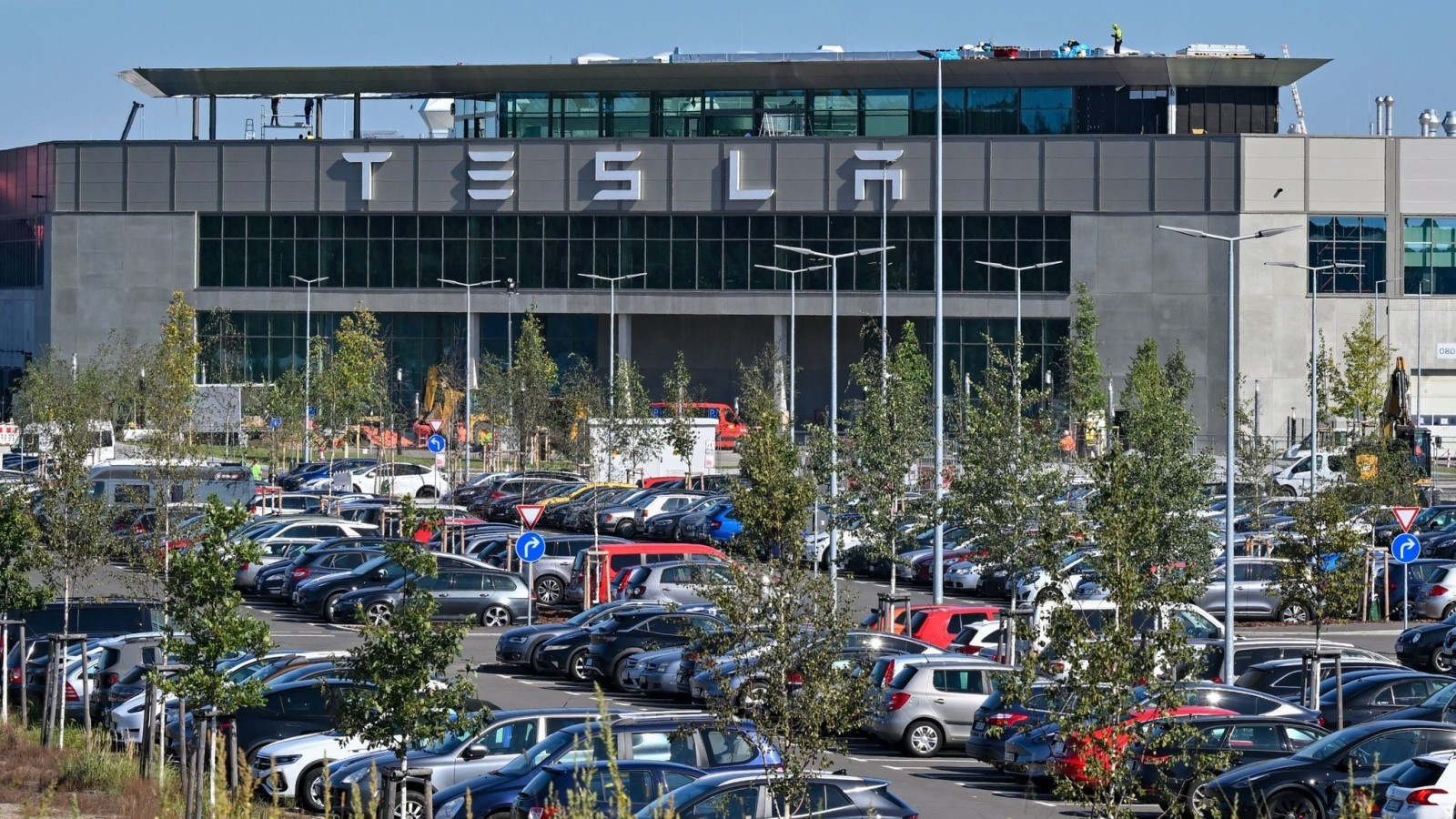 Erste Bäume für neuen Bahnhof am Tesla-Werk gefällt