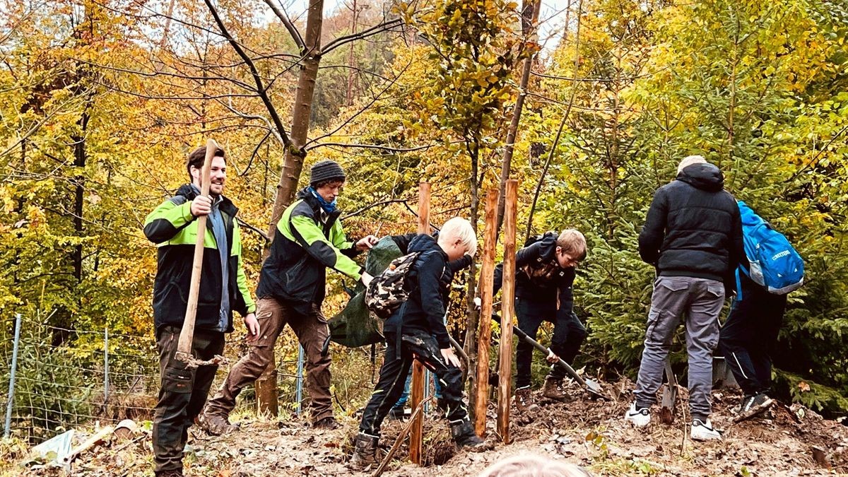 Amt Creuzburg will Waldhauptstadt werden